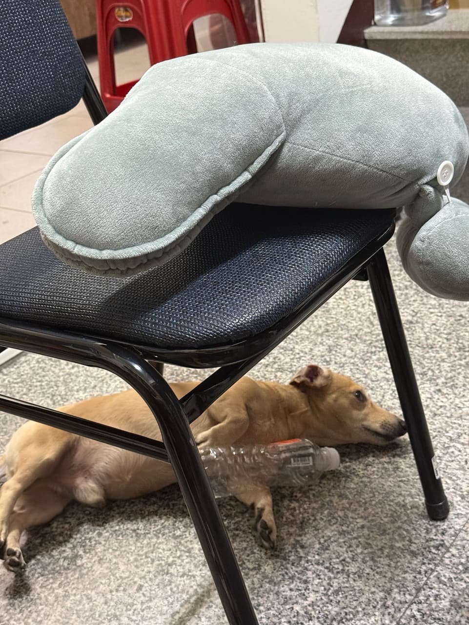 #長相 一直不知道自己長怎樣（已撤照） - B31-1 留言 | Dcard