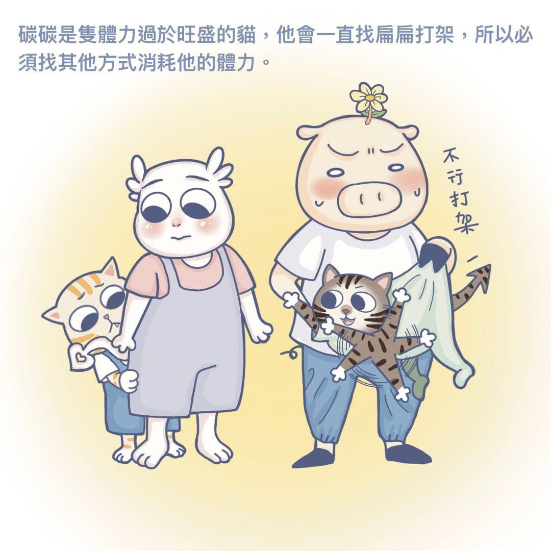 貓日記part9，碳碳愛散步 - 龍豬毛毛🤍 (@dpccsh) | Dcard