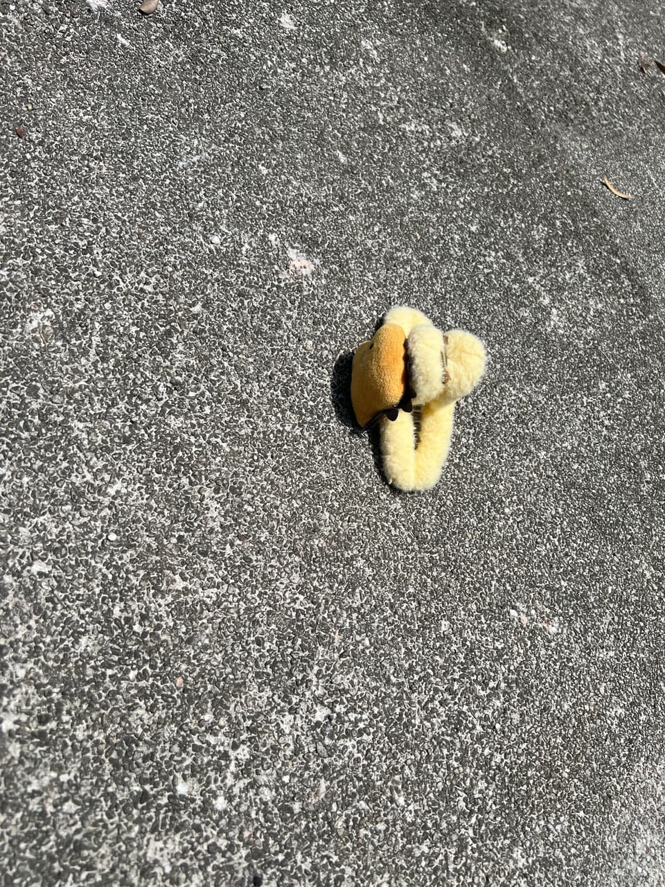 誰的髮夾在block p 走廊 - UTAR板 | Dcard