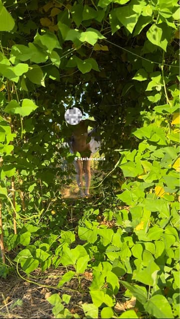 菜園裡的小白兔🐰 - B17-1 留言 | Dcard