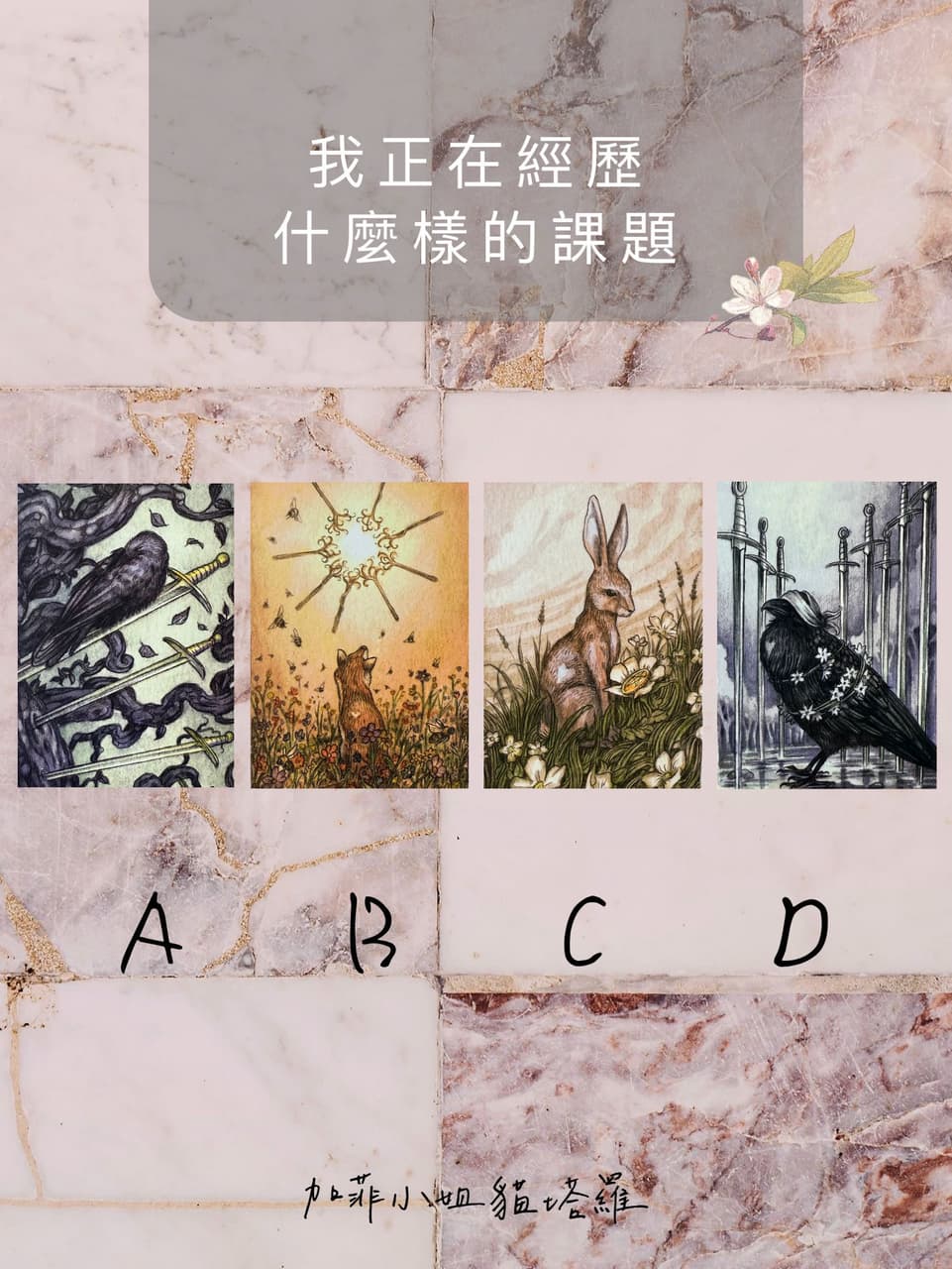 「塔羅」大眾占卜-目前正在經歷什麼課題🌸 - 加菲小姐貓塔羅 (@garfield_tarot) | Dcard
