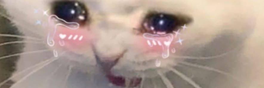 喵咪zz (@meow.meow02) 的公開頁面 | Dcard