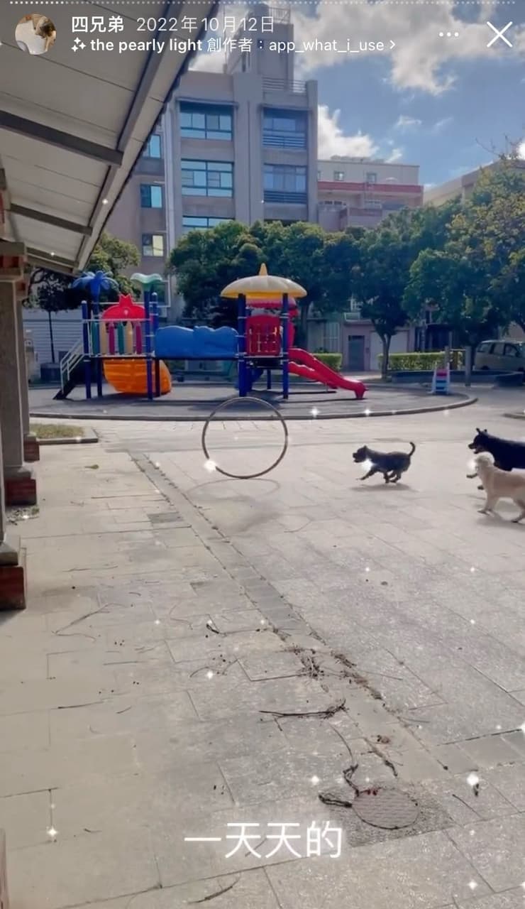 新竹｜士林｜中壢 健身房創始人兼館長 非法事件整理 - B91 留言 | Dcard