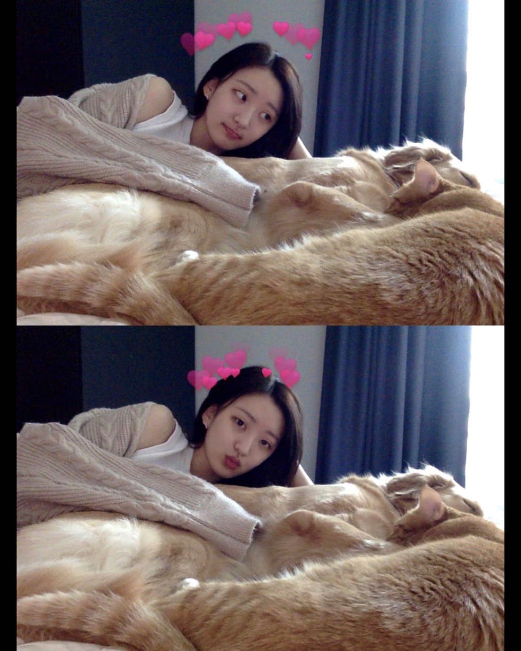 #集中討論 H1-Key集中討論 - 韓星板 | Dcard