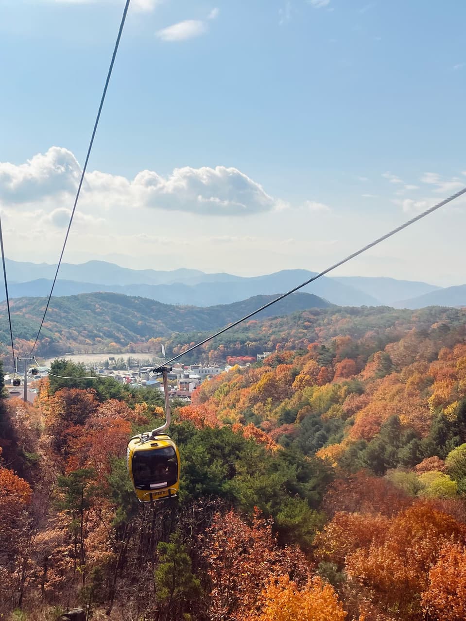 客家千金 (@im1dollar) | Dcard