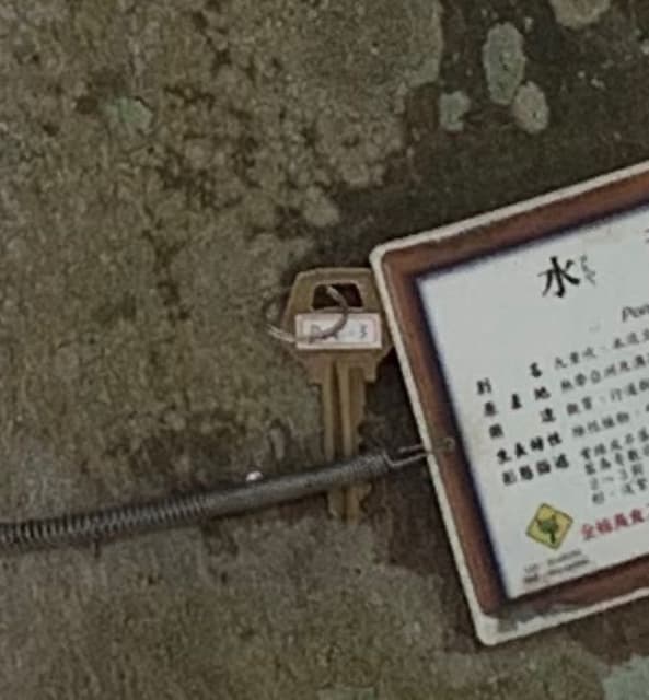 鑰匙 慈濟科技大學板 Dcard