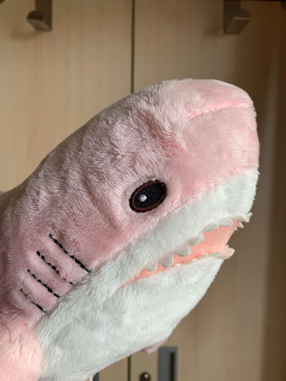 售小鯊魚 可議價 明志科大板 Dcard