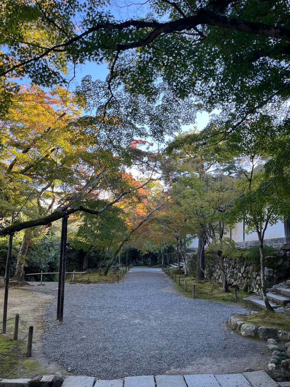 下班後半日楓葉景點 - 日本旅遊板 | Dcard