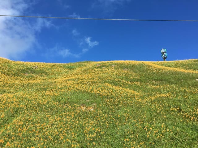 小羊男 (@kennithnith_123) | Dcard