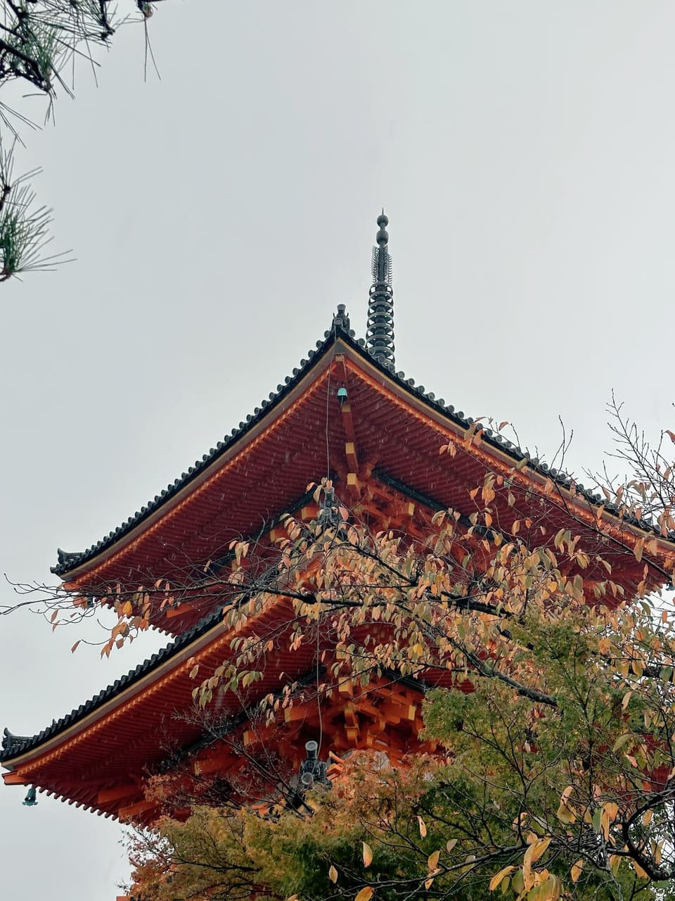 翠爸的腿斷掉大阪京都行 Day2 - 翠花爸 (@doge_g.m) | Dcard