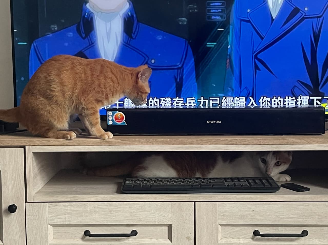 自律！打破醫美成癮#我的無敵支柱 - 布丁貓 (@putingcat) | Dcard