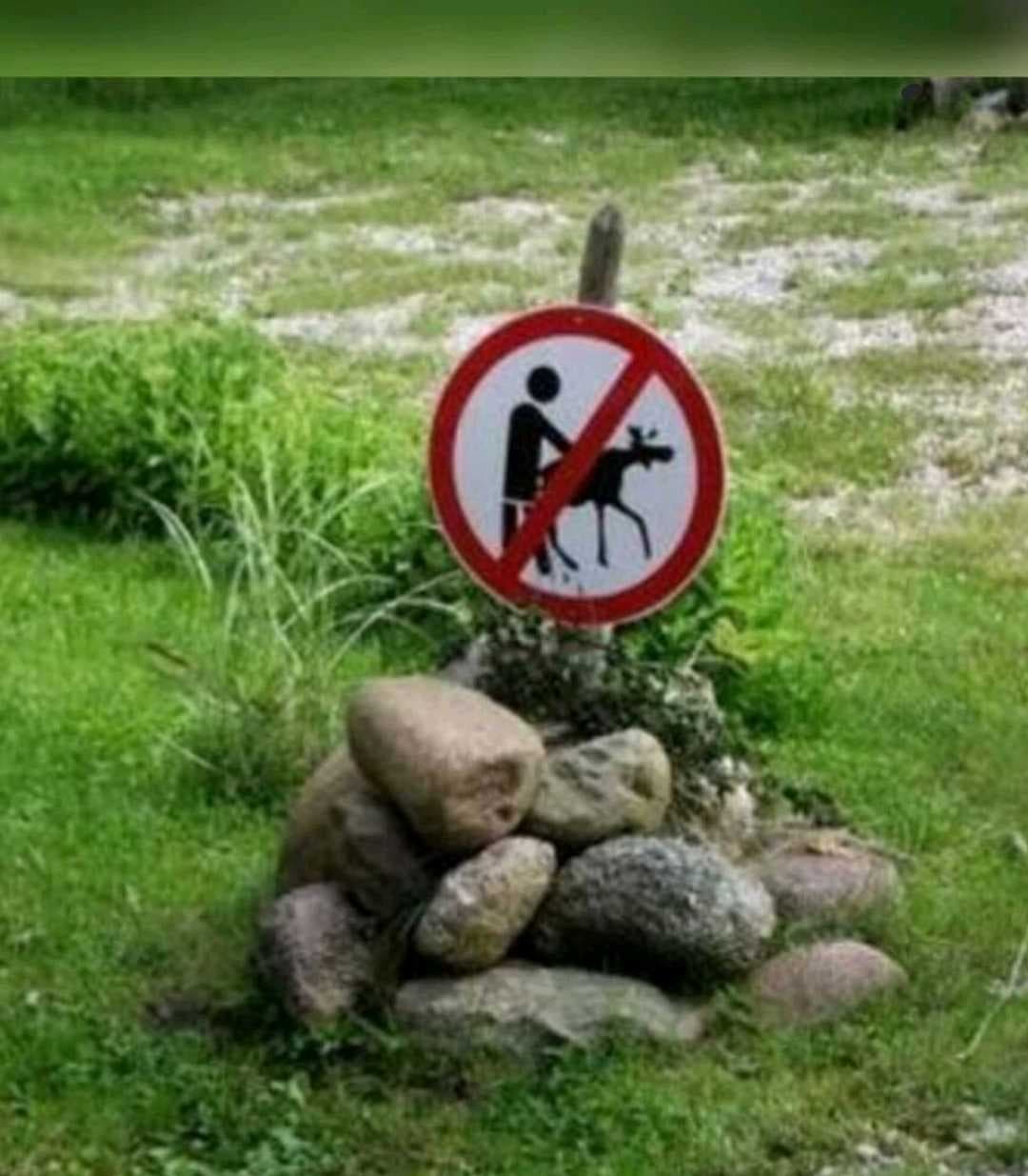 挑戰一百天一天一發 D10 - 閒聊板 | Dcard