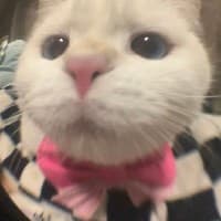 璇璇 (@c93_0827) 的公開頁面 | Dcard