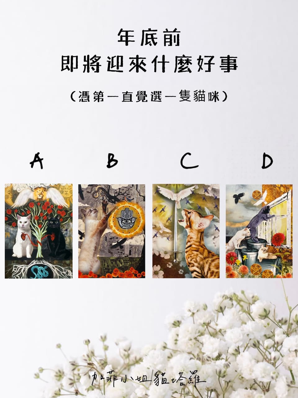 「塔羅」大眾占卜-年底前即將迎來什麼好事🌸 - 加菲小姐貓塔羅 (@garfield_tarot) | Dcard
