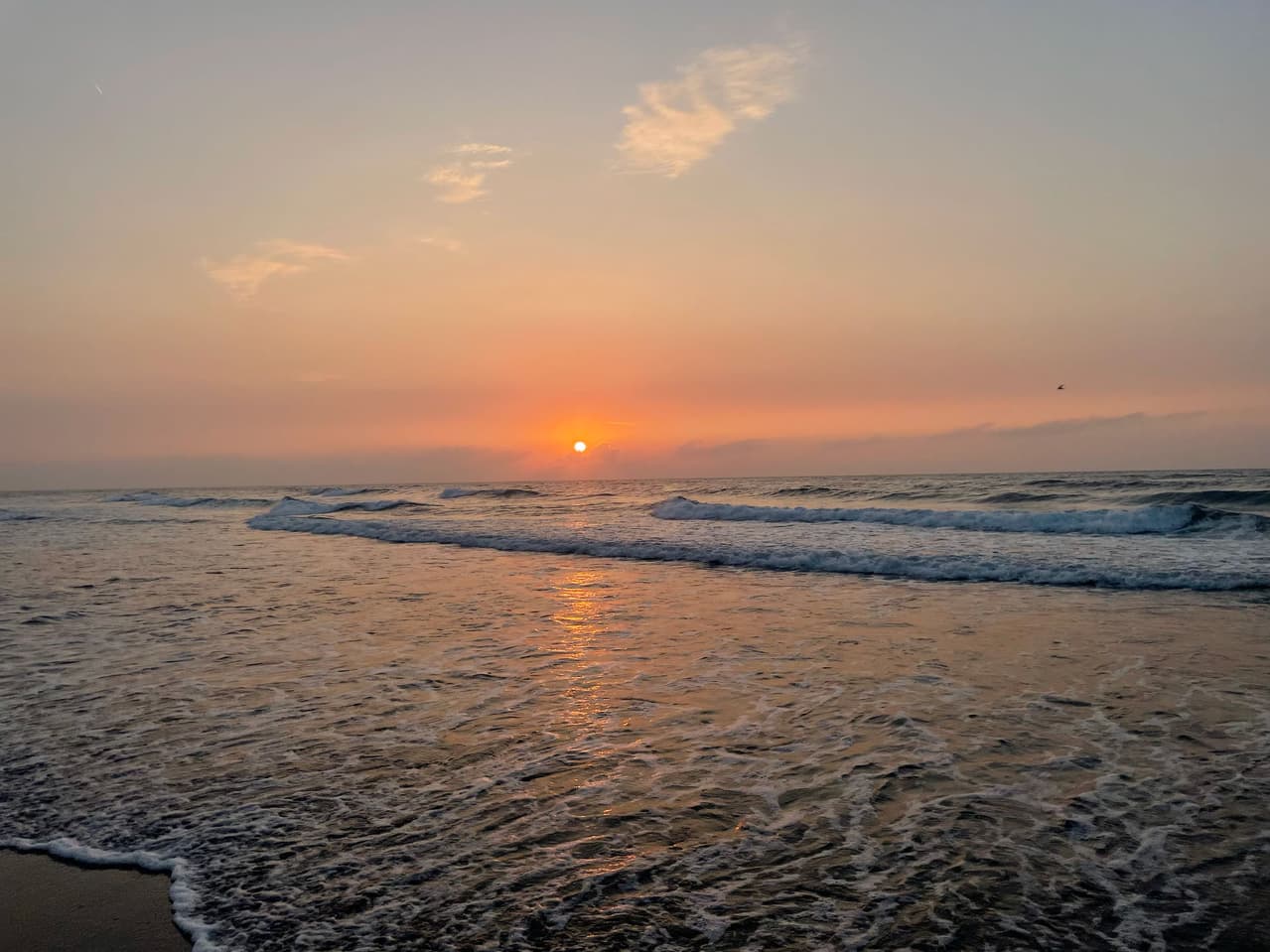 苗栗海邊走走 - 想睡覺的鼠 (@ayanezu) | Dcard