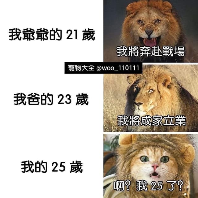 大家從幾歲開始有金錢焦慮的？ - B334 留言 | Dcard