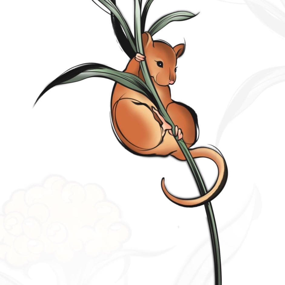 累積作品中～指定動物認領圖 均一價😻 - ttt (@tina_ttt) | Dcard