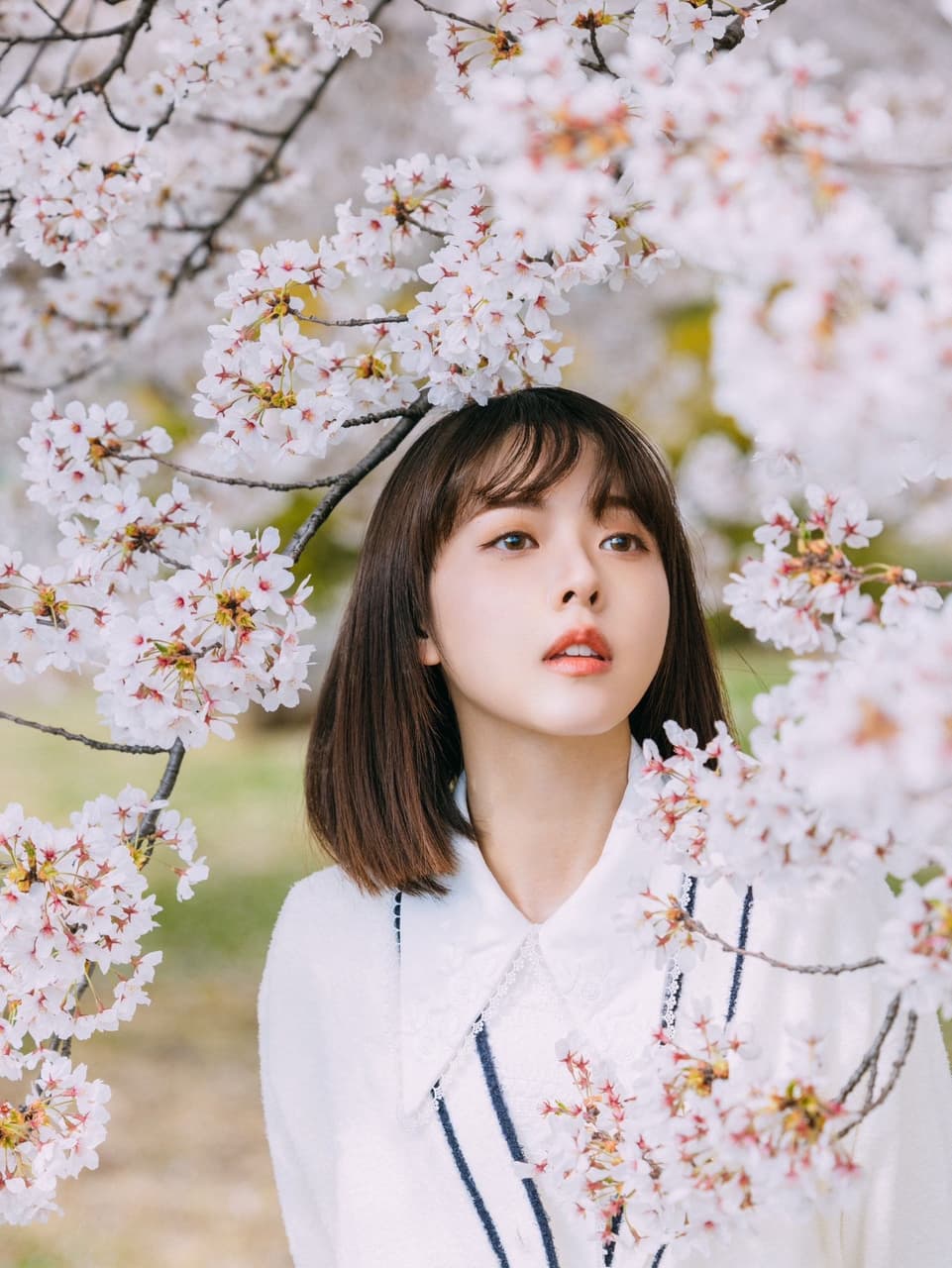 等待繁花盛開 - 法蘭克福 (@frankucc) | Dcard