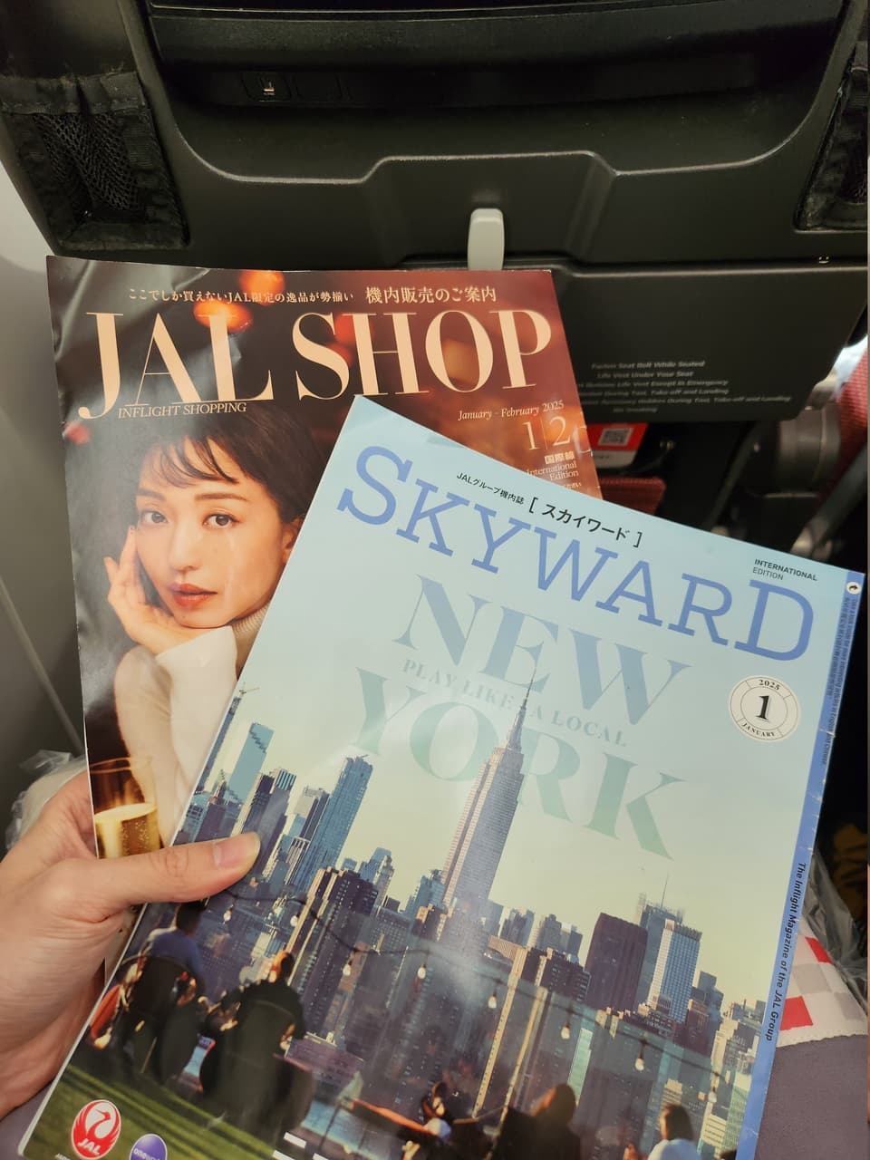 #飛行紀錄 日本航空 🇯🇵東京羽田HND-🇮🇳印度新德里DEL B789 經濟艙分享 - 航空板 | Dcard