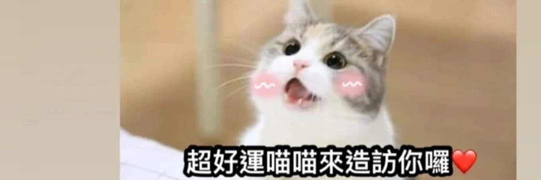 圓 (@lover234) 的公開頁面 | Dcard