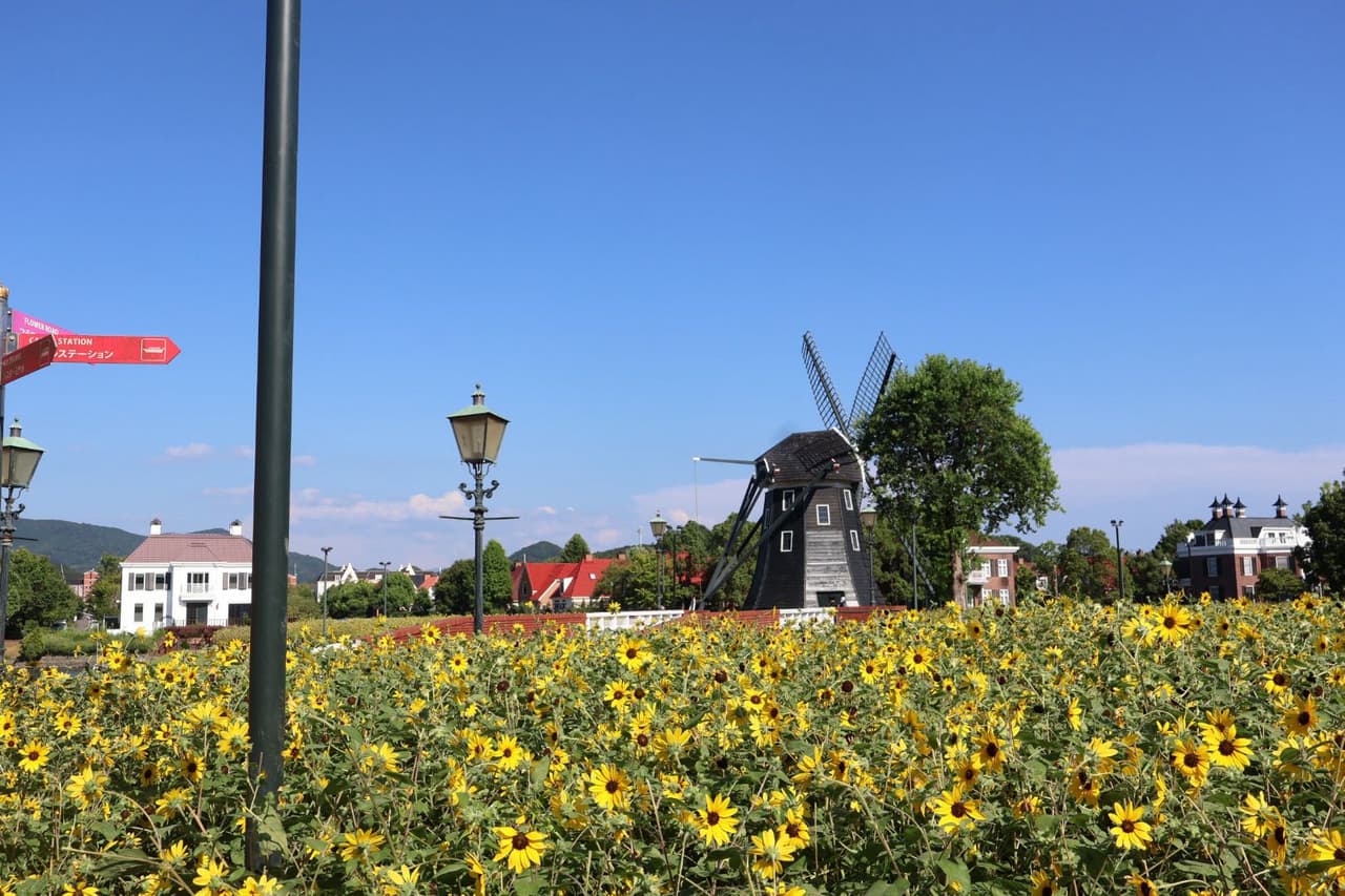 2024 福岡/北九州五日遊-遊記心得 (D4 豪斯登堡) - 日本旅遊板 | Dcard