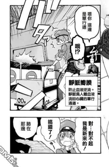 #推薦 工作細胞 - B19 留言 | Dcard