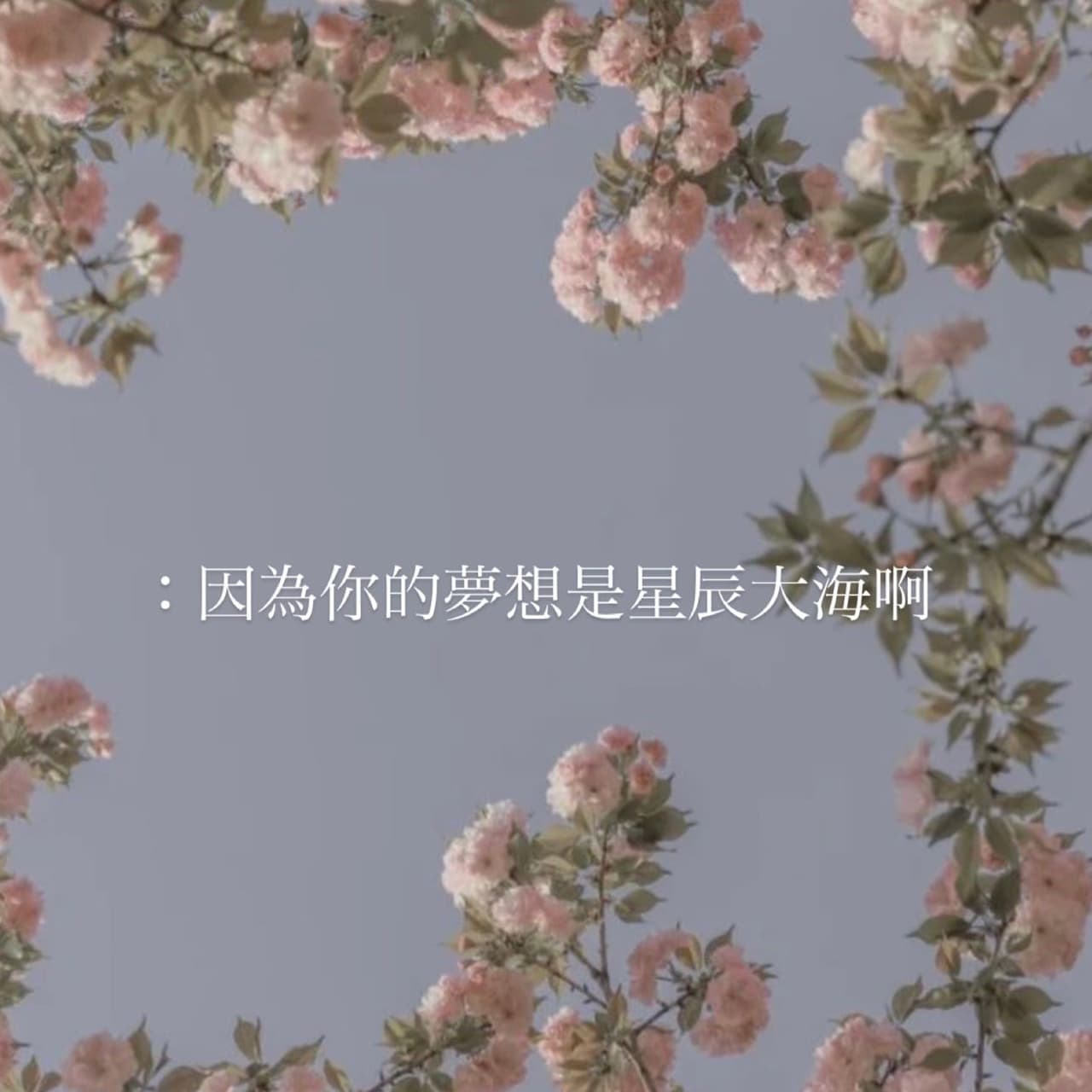 #走在夢想的路上 再次擁有堅定的力量 - 公主營養師👑 (@princess_rd) | Dcard