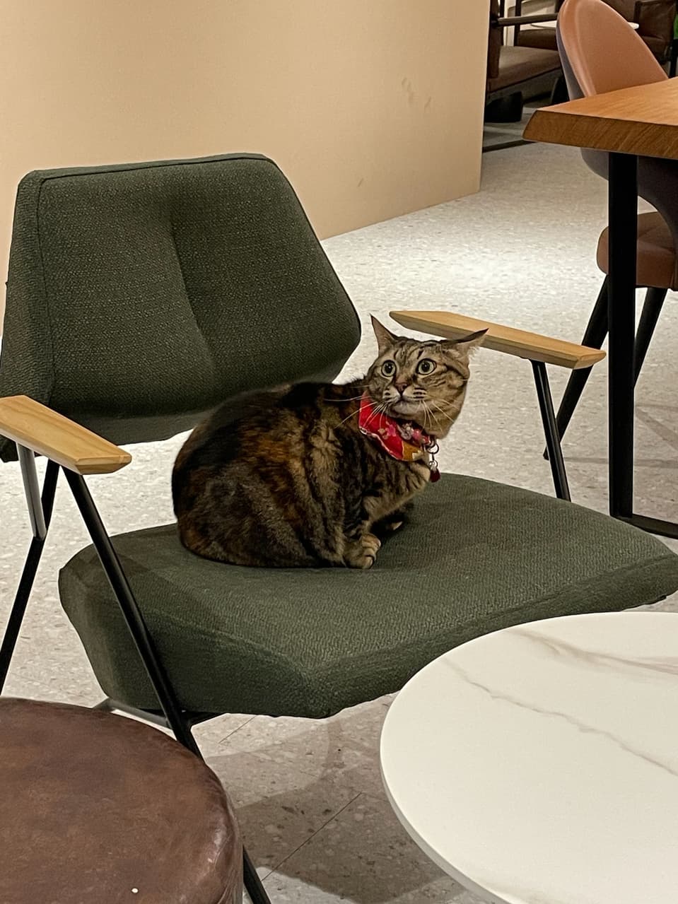 🥯⁰̷̴͈꒨⁰̷̴͈🥯 - 棉花甜不甜 (@cotton_9) | Dcard