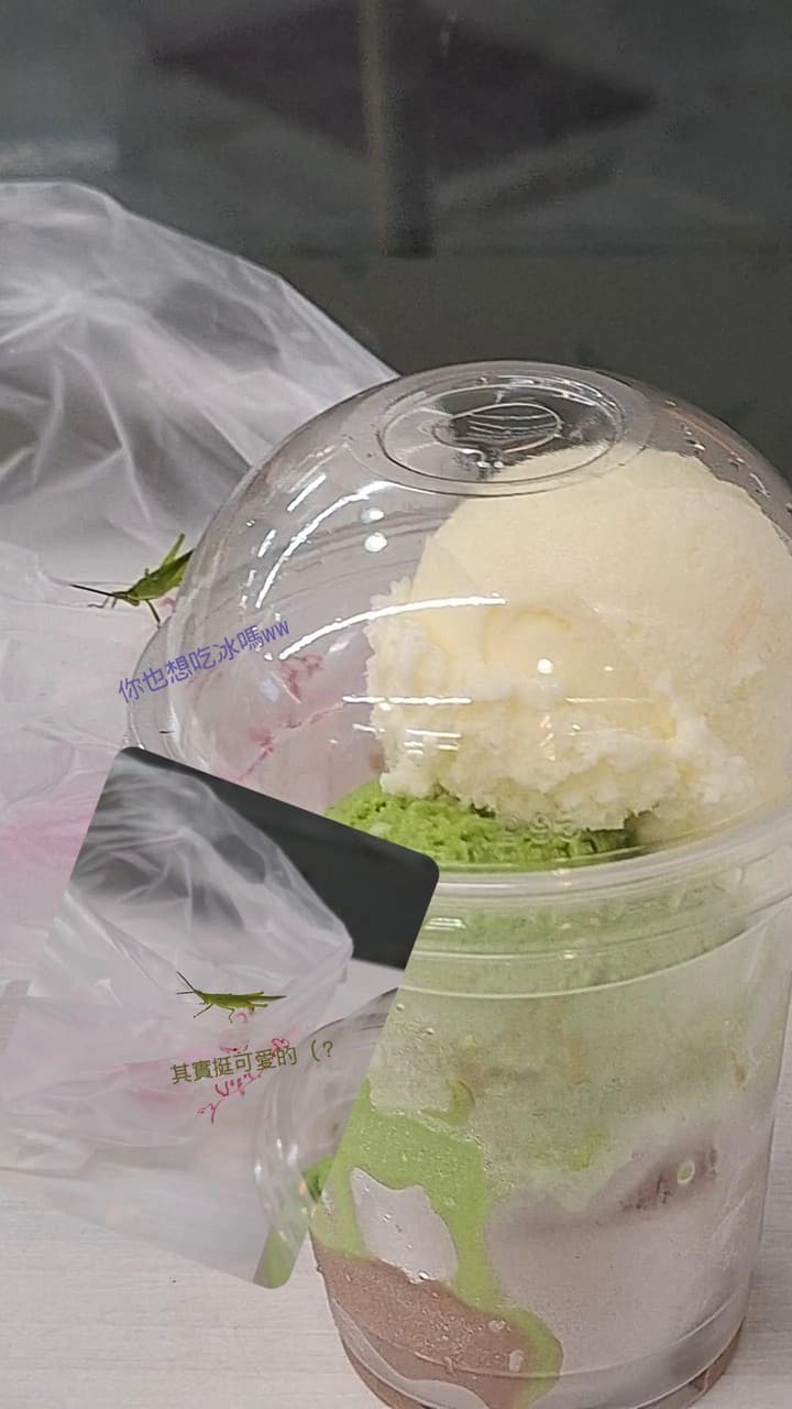 鑑定 他看起來挺可愛的~ (這是什麼蟲蟲🤔 昆蟲板 Dcard