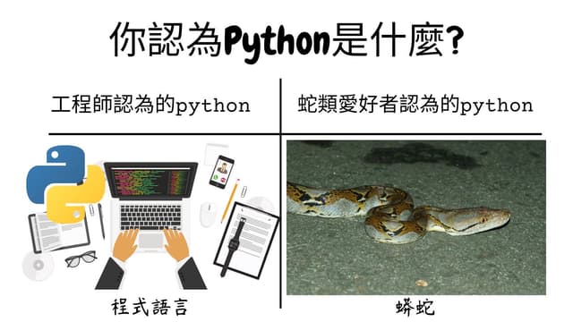 #自創 你認為Python是什麼？ - 梗圖板 | Dcard