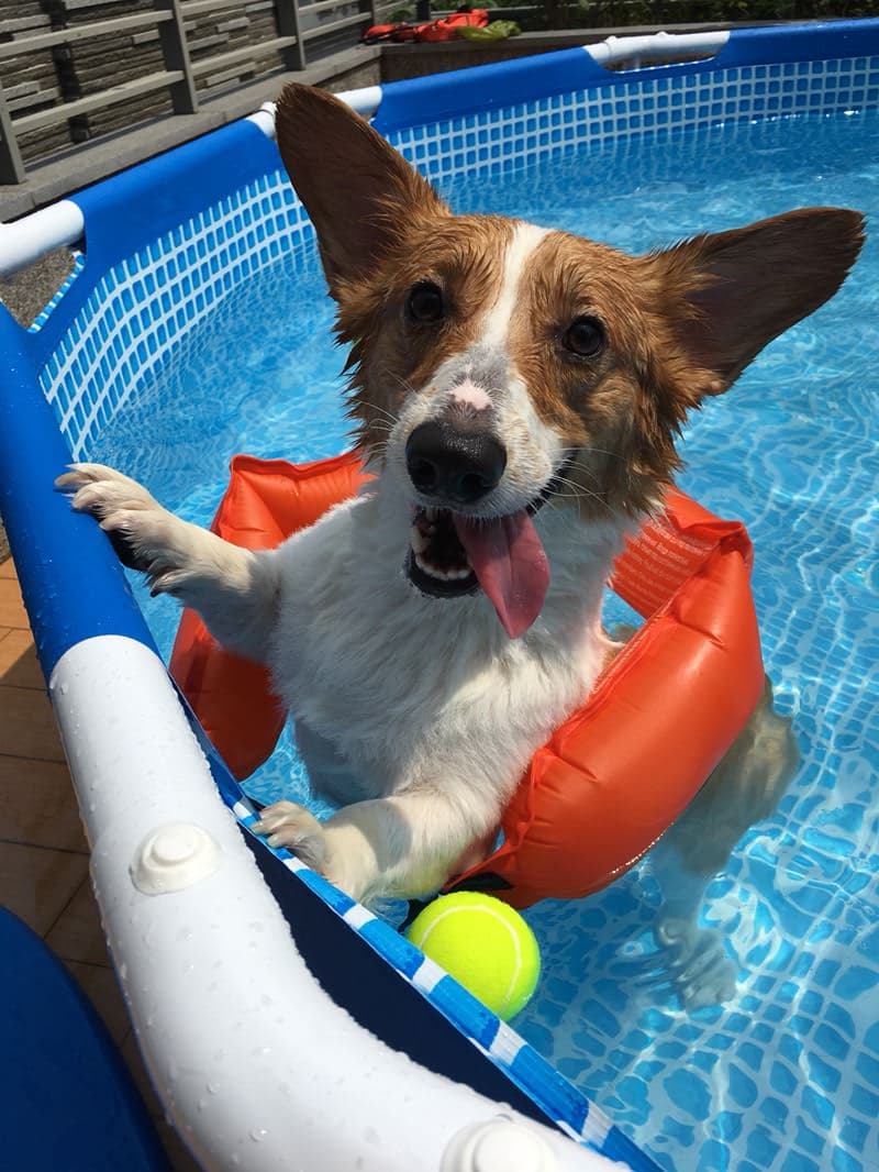 放開那個女孩... - B64 留言 | Dcard