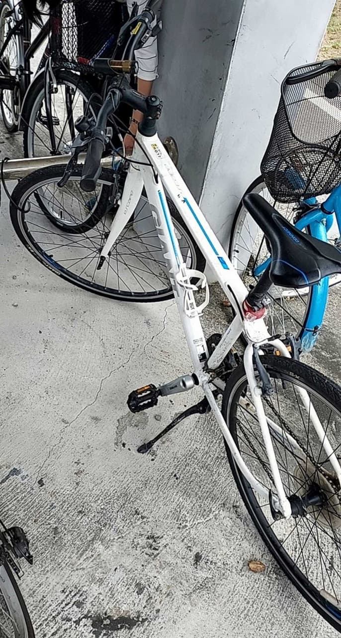 捷安特腳踏車被偷 東華大學板 Dcard