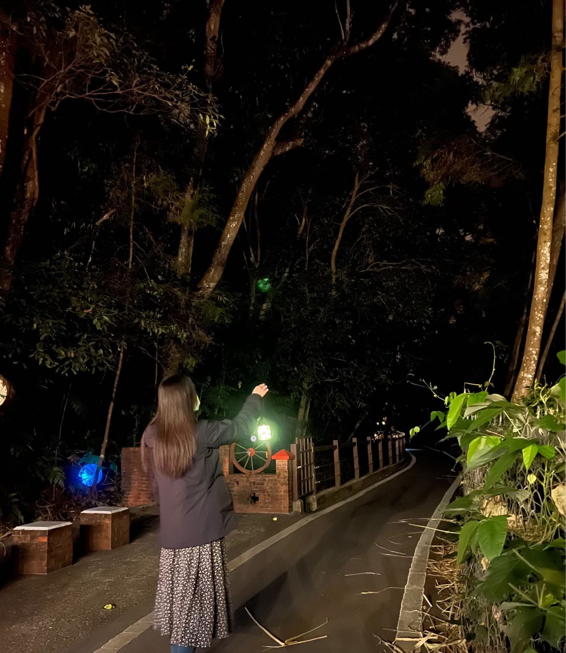 #遊記 終於參加到一年一度的埔里逐燈祭🏮｜#過年武林 - 魚山 (@fishmount) | Dcard