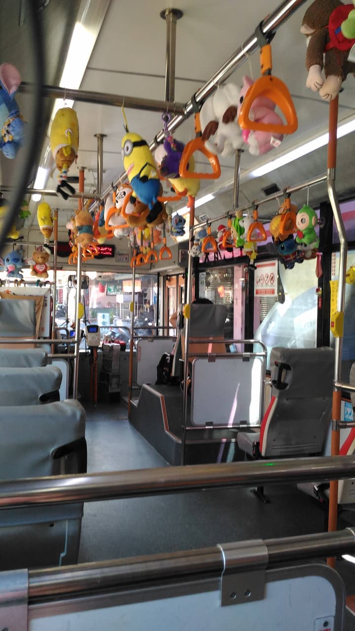 #圖 萌萌的262公車 - 心情板 | Dcard