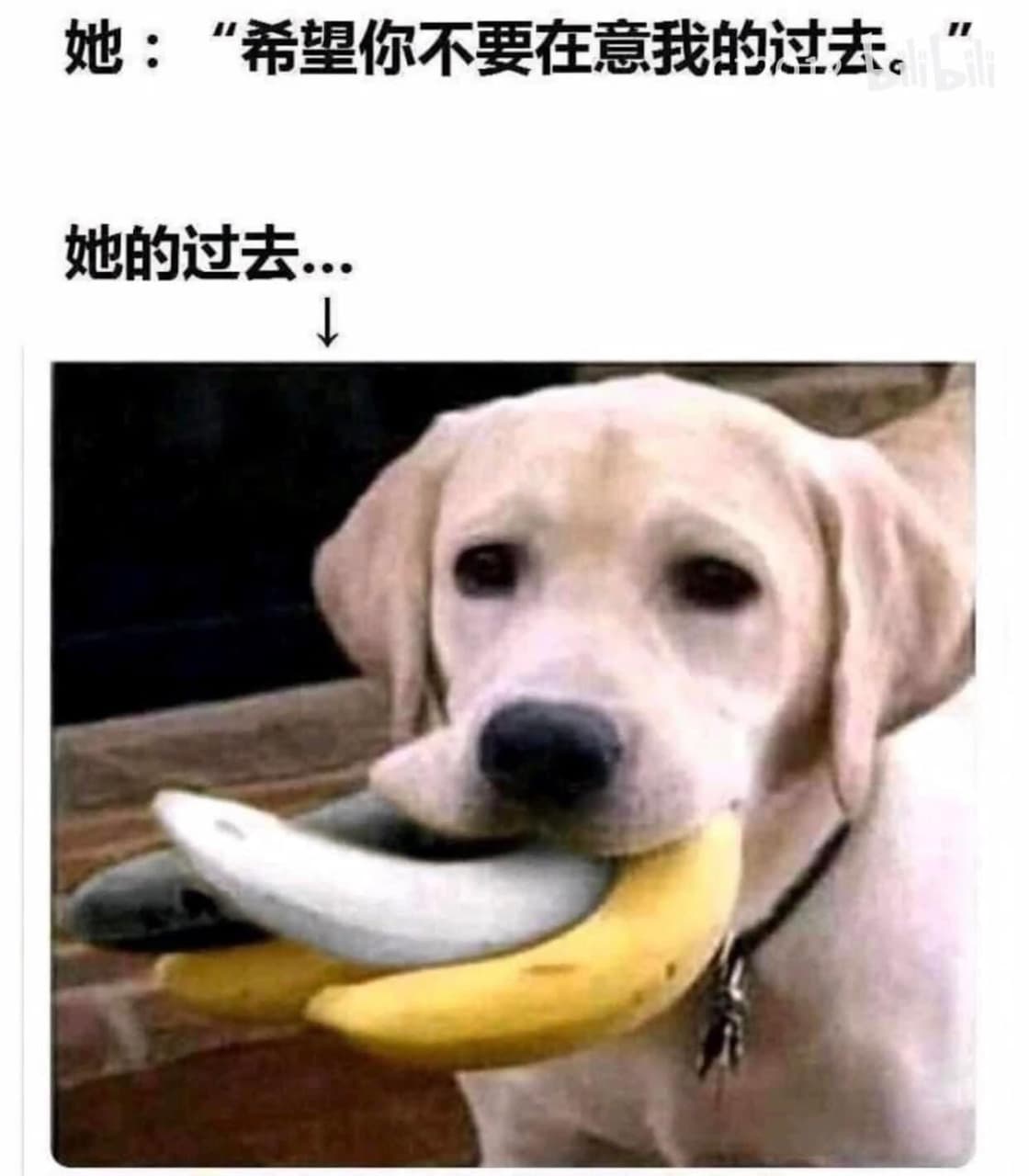 我不在意妳的過去 梗圖板 Dcard