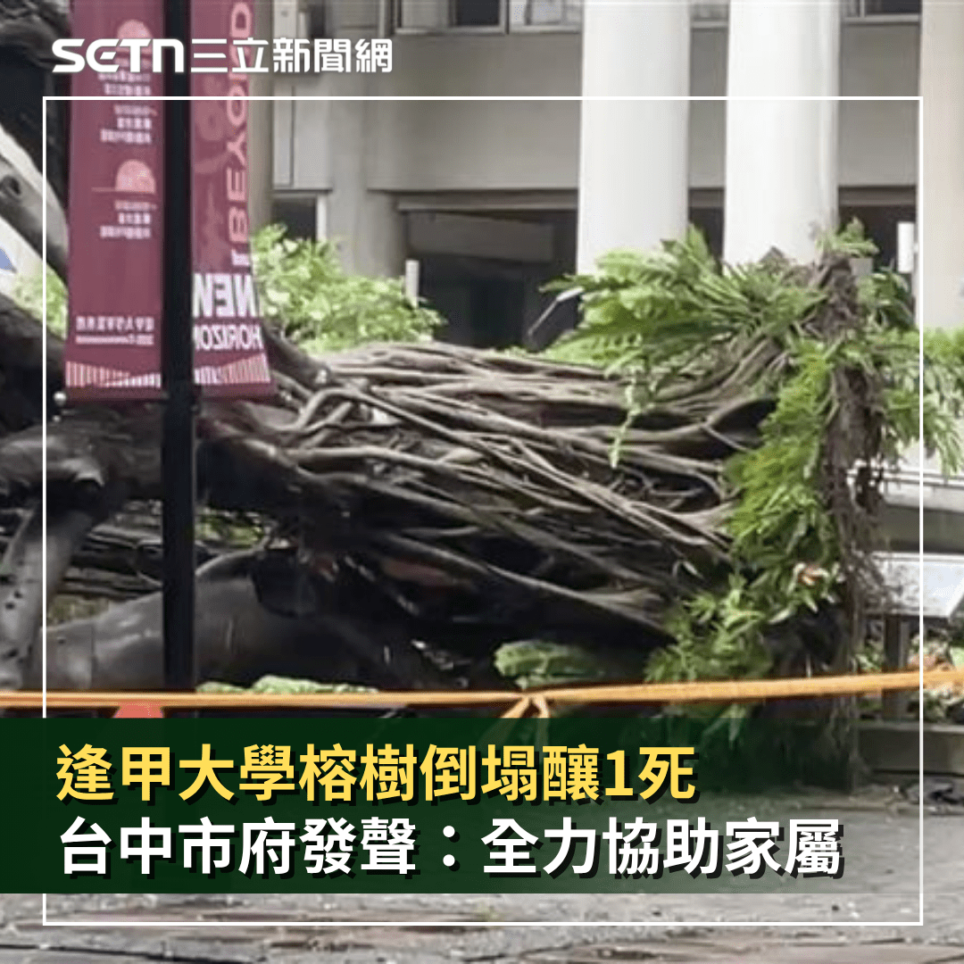 逢甲大學榕樹倒塌釀1死 台中市府發聲：全力協助家屬 - SETN三立新聞網 (@setn54) | Dcard