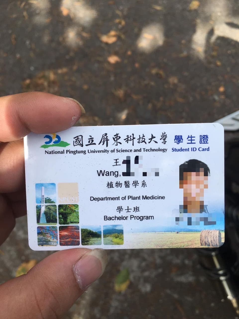 有人掉學生證嗎 屏科大板 Dcard
