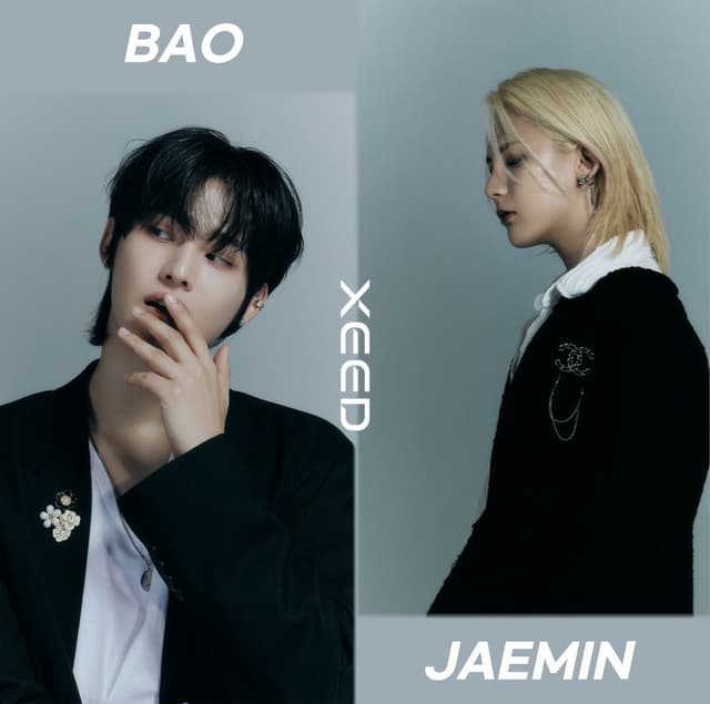 #情報 確定於12/1出道的四人偶像團體XEED 씨드 - 追星板 | Dcard