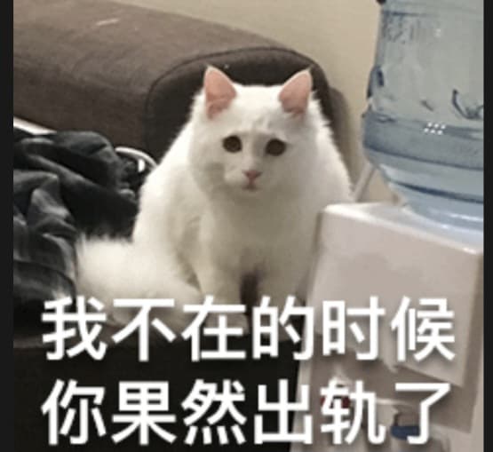 summary出轨瓜 - MMU板 | Dcard