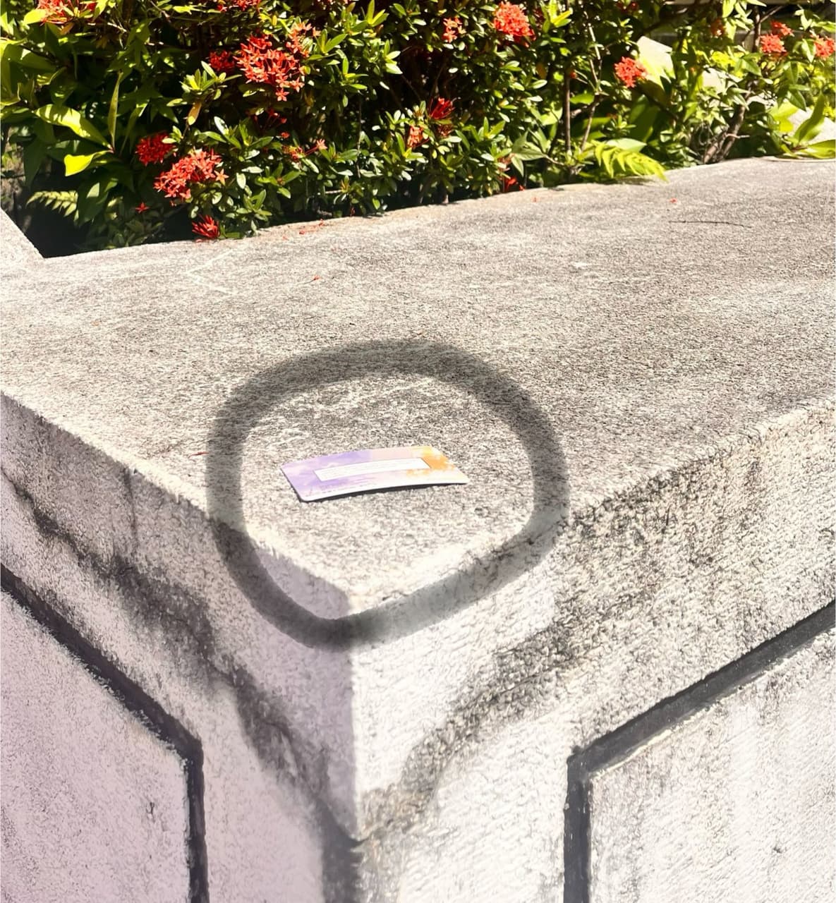 學生證 嘉義大學板 Dcard