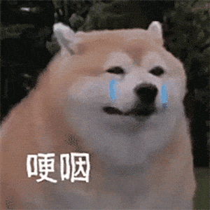 2025 TBS圖盧茲商學院 Winter School 心得（寒暑期短期課程，非交換生） - 東吳大學板 | Dcard