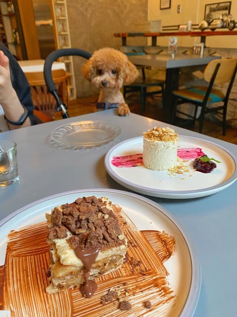 Toasteria Cafe 吐司利亞 - 美食板 | Dcard