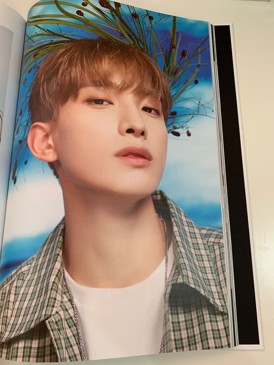 #開箱 DICON D’FESTA SEVENTEEN DISPATCH 10TH ANNIVERSARY 寫真書-WONWOO - SEVENTEEN板 | Dcard