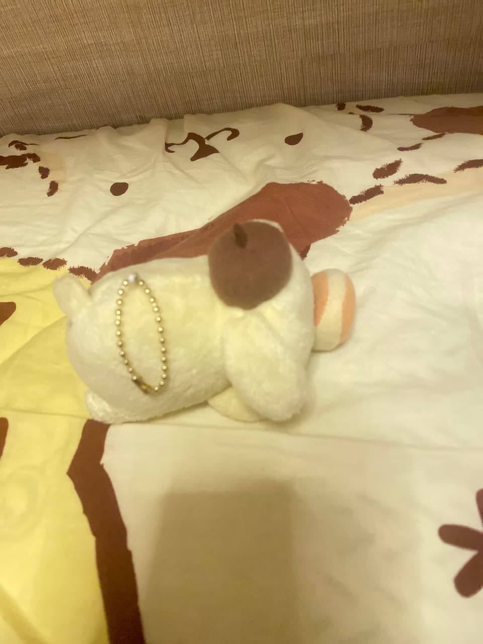 Funbid布甸狗絕版開箱文 - 港澳 u life板 | Dcard