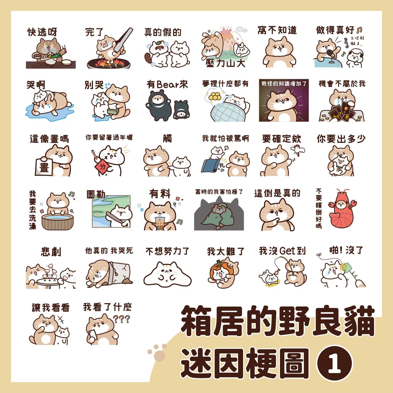 箱居的野良貓 - 迷因梗圖1 - 箱居的野良貓 (@particat) | Dcard