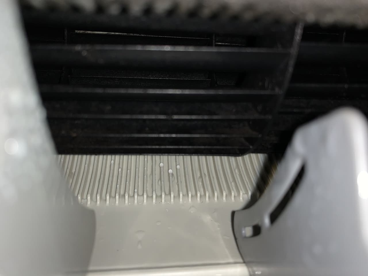 台灣掰~ - 地獄倒楣鬼 (@back.from.hell) | Dcard