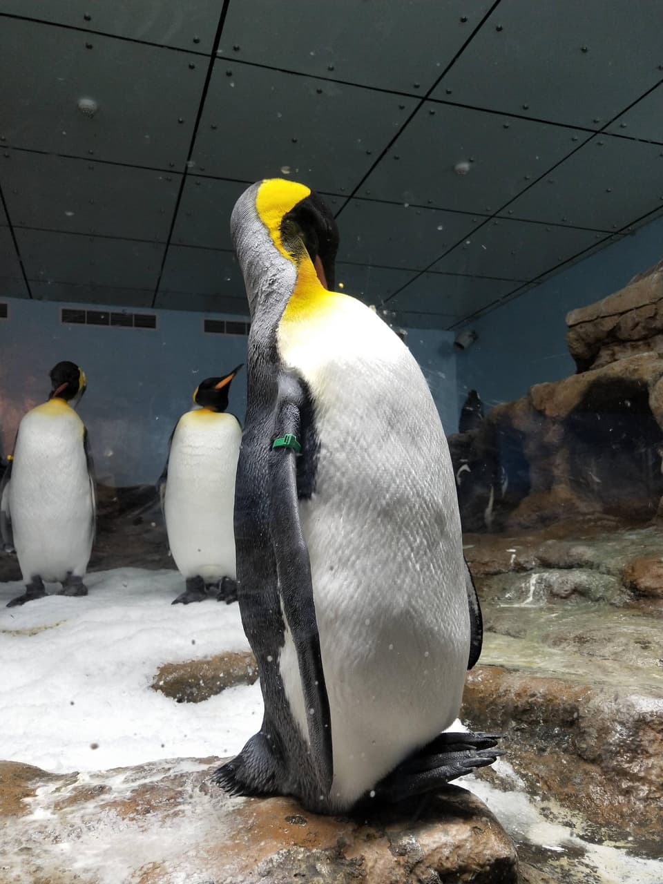 Xpark 照片分享 - 神隱少女 (@dory.fish) | Dcard