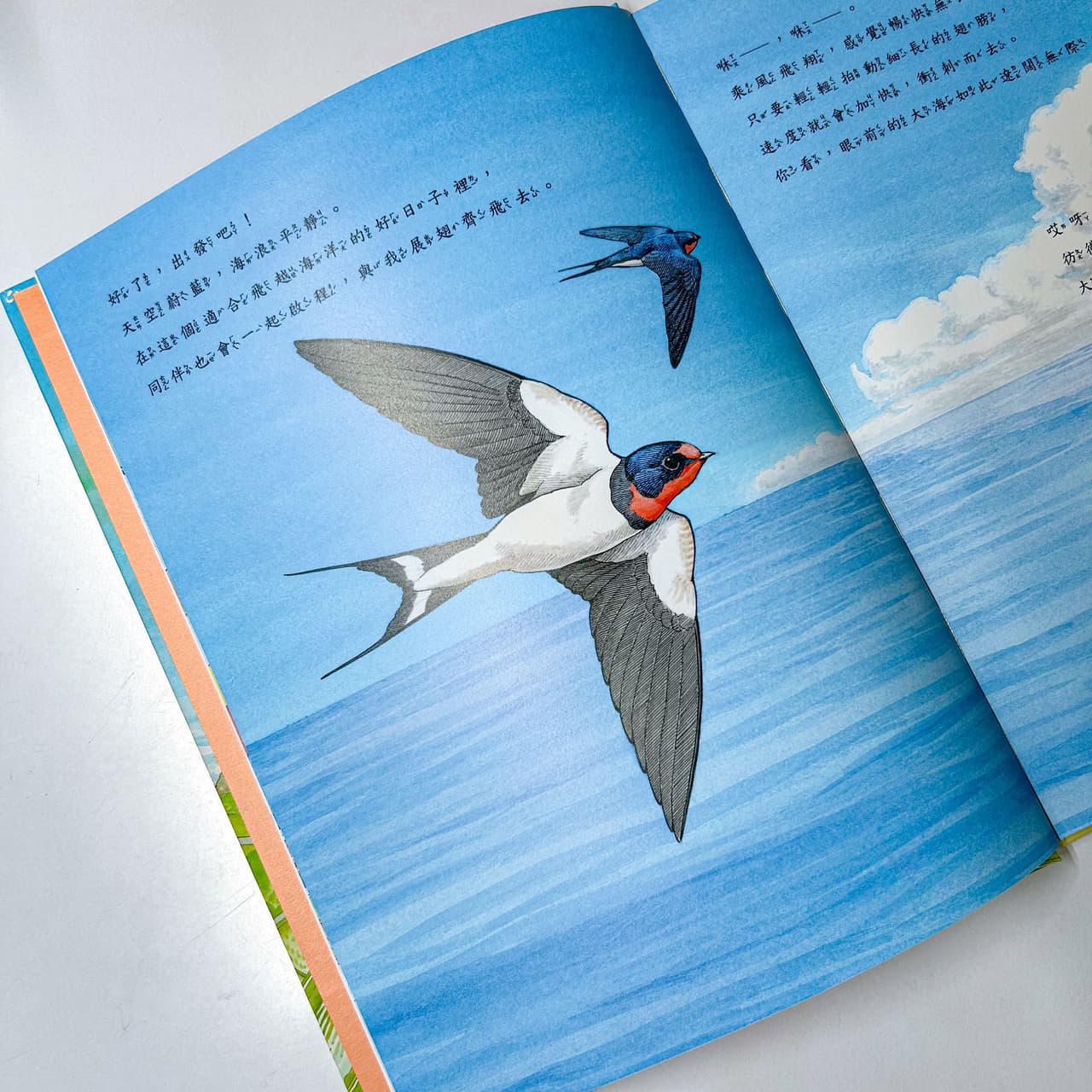 //新書分享// 文末贈書，鳥的生態繪本系列1：燕子，為什麼要搬家？、鳥的生態繪本系列2：麻雀，為什麼要離巢？ - 泡波媽沈浸式育兒 (@bubblepan) | Dcard