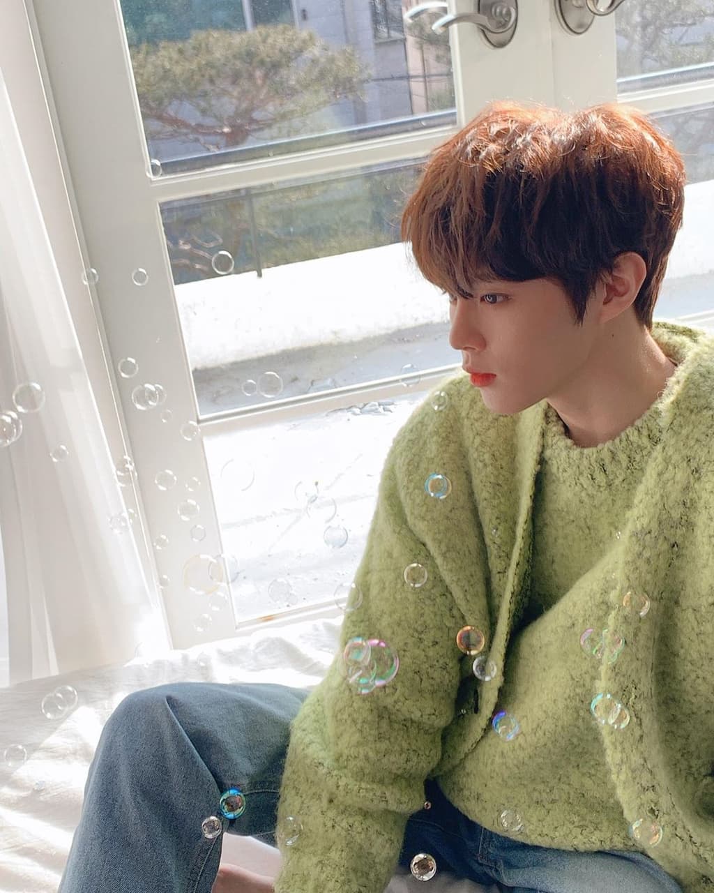 #更新 🦋X1成員目前近況 - 追星板 | Dcard