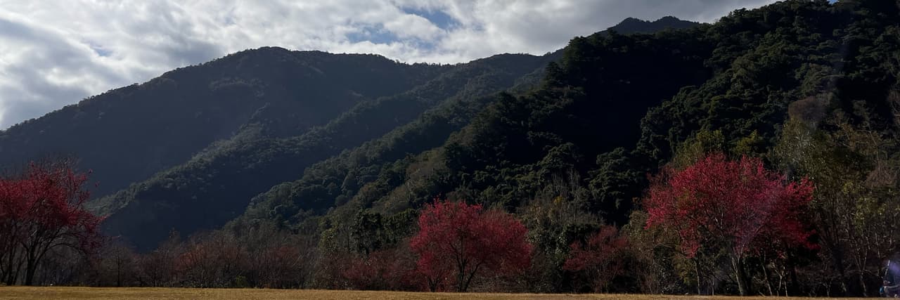 海龜不會游泳 (@rain220408) | Dcard